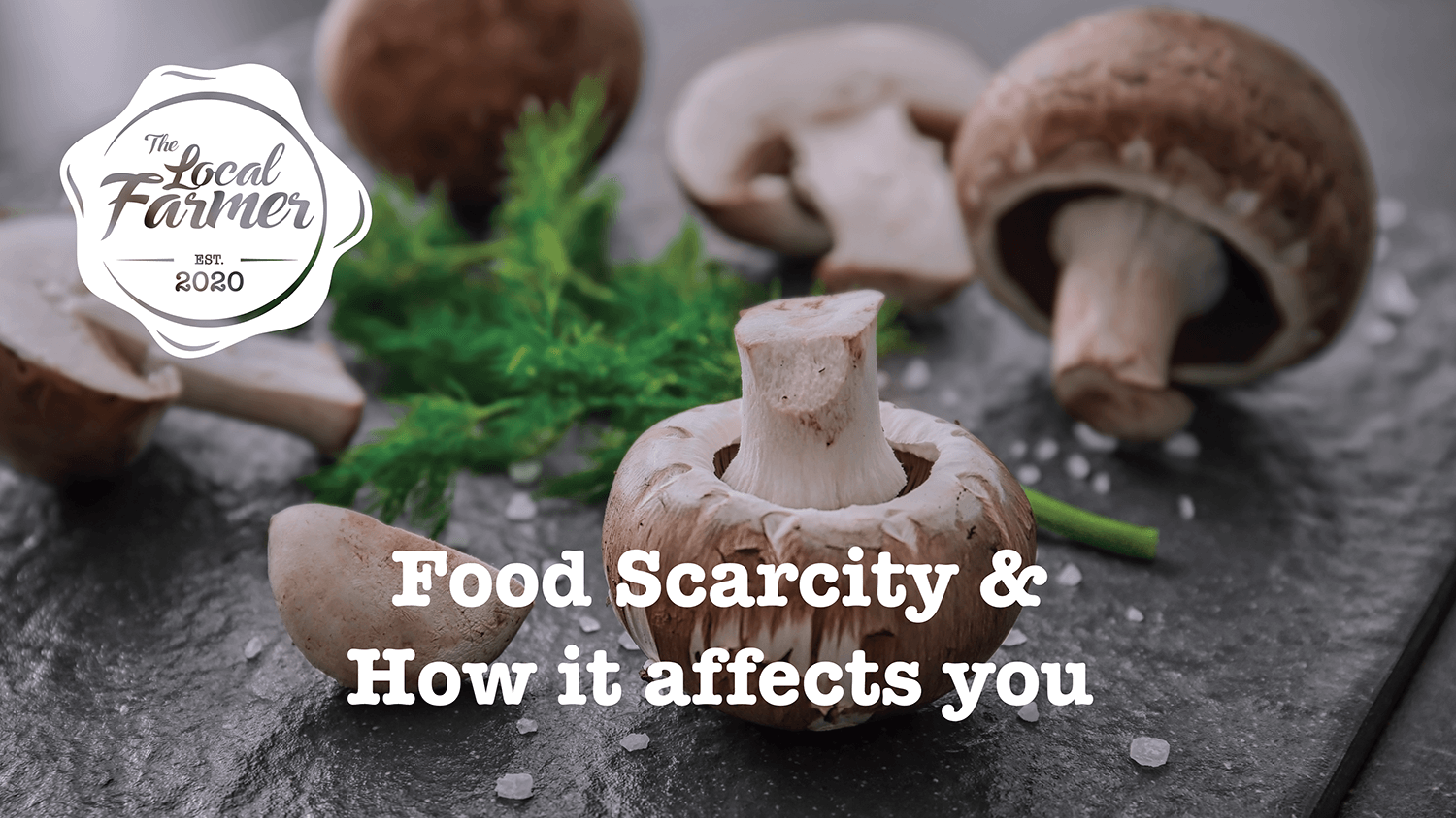 Food Scarcity and How It Affects You - The Local Farmer